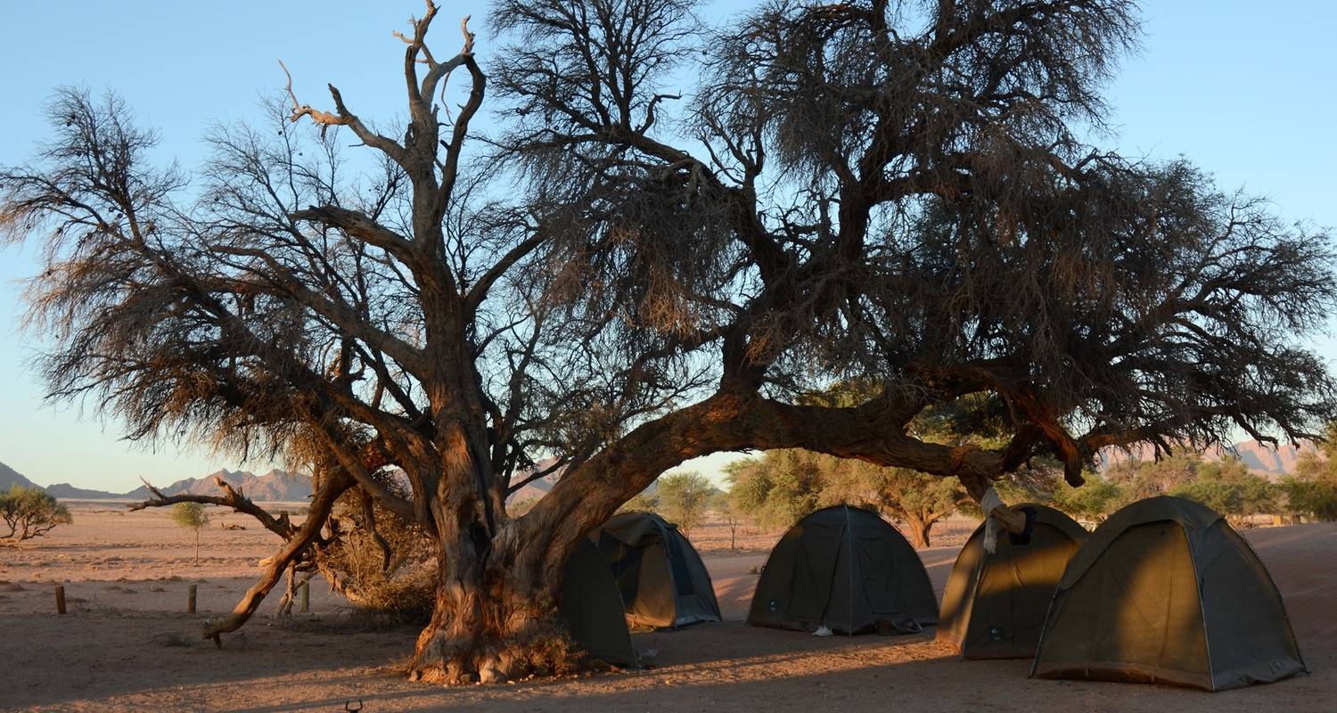 Tour Namibia Clásico 12 Días SALIENDO LOS SÁBADOS **Enfoque soste ...