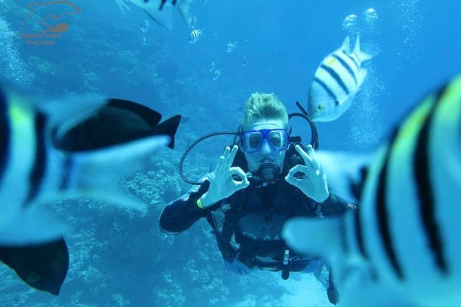 Tour Buceo Submarino De 5 Días En Hurghada | Visita Egipto