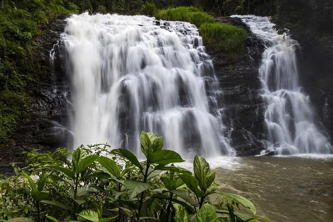 Tour Mysore - Coorg Package | Visit India