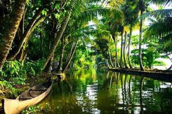 Tour Paquete Kerala Tour-, Backwaters & Wild Life | Visita Japón