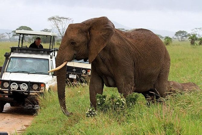 Tour Private 10 Days Best Of Kenya Wildlife Safari Holiday | Visit Kenya