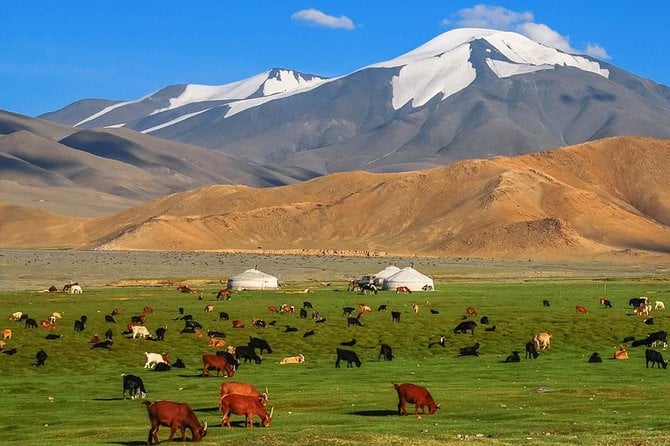 Tour De Lo Mejor De Mongolia 7 Días | Visita Mongolia