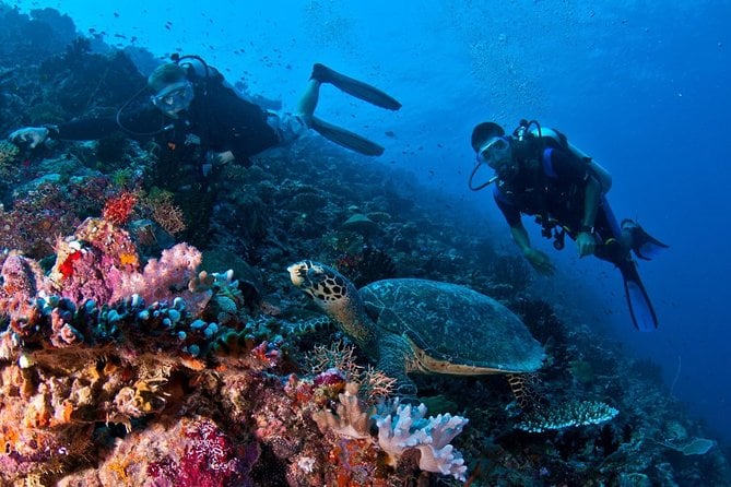 Tour 8 días | Tour de buceo en Maldivas | Visita Maldivas