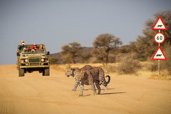 Tour Naankuse de 20 días y safari de campamento clásico en Namibia ...