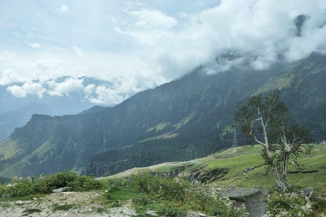 Tour Paquetes turísticos Shimla Kullu Manali Kasol Dharamsala Rohtang ...