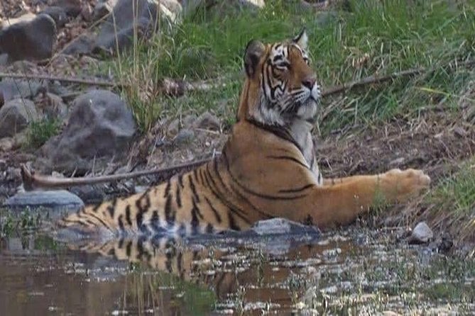 Tour Golden Triangle Tour Con Wildlife Trail | Visita India