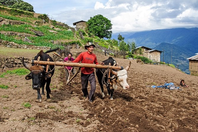 Tour Experimente El Tour Privado De Bután Rural | Visita Bután