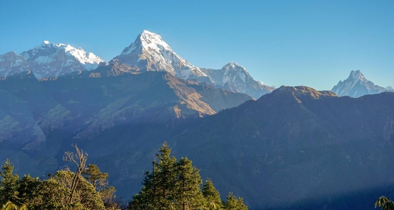 Tour Poon Hill Trek - 6 días | Visita Nepal