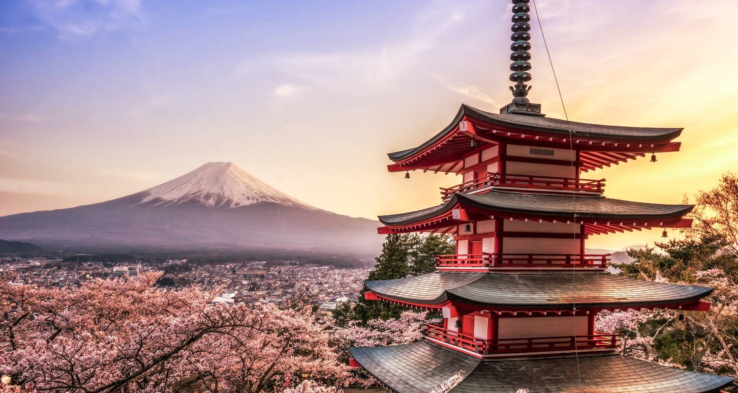 Tour 7 Days Customized Tokyo And Kansai Classic Tour (Private Gui ...