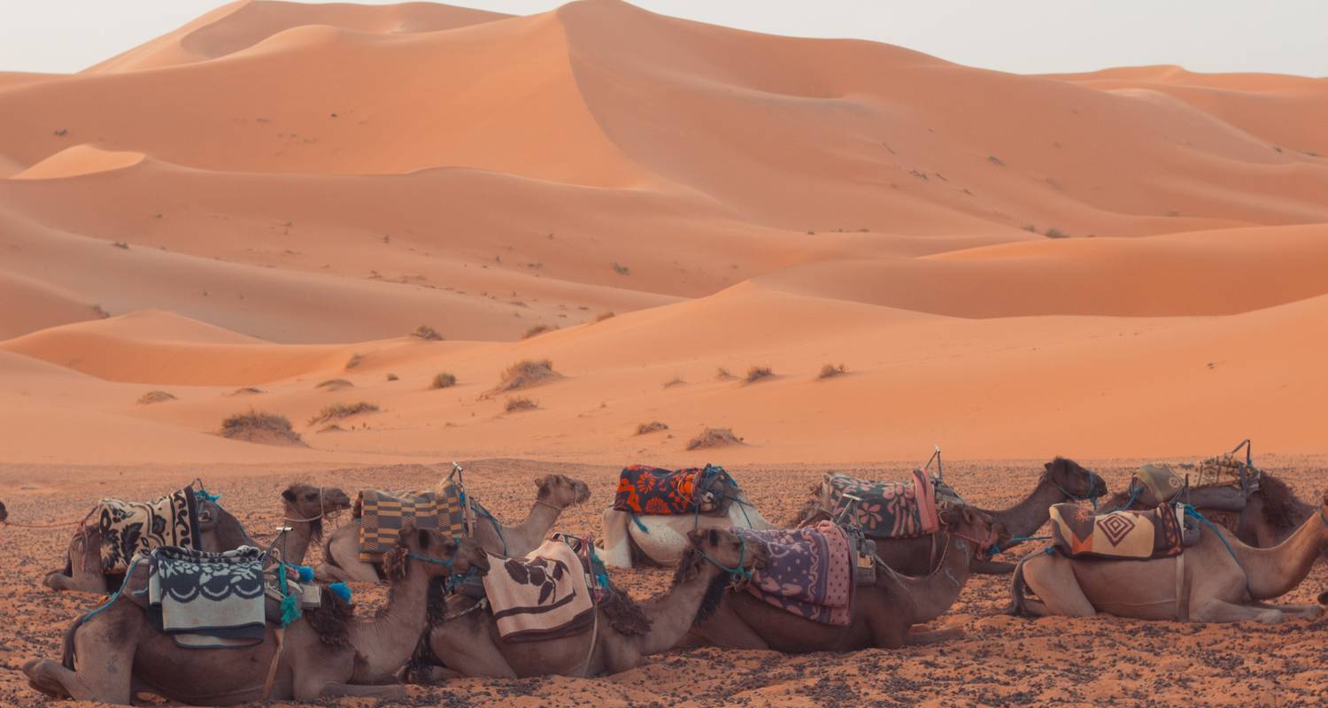Tour Aventura de campamento de 3 días y 2 noches de Fez a Marrake ...