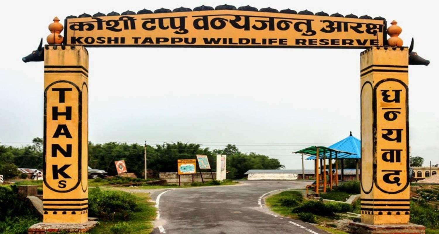 Tour Excursión a la fauna de Koshi Tappu | Visita Nepal